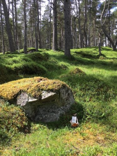 Border Liners across the Border – Border Liners Orienteering Club