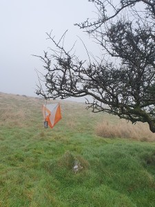 Border Liners Orienteering Club
