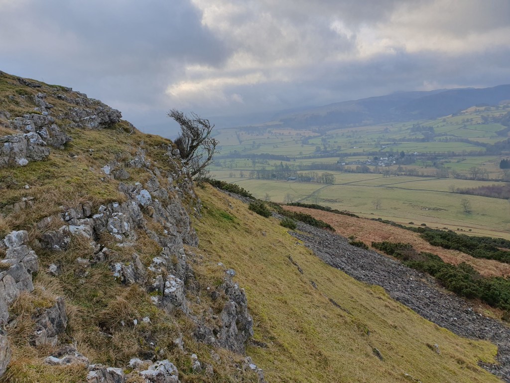 Knipe Scar Middle – 17th May 2025 – Border Liners Orienteering Club