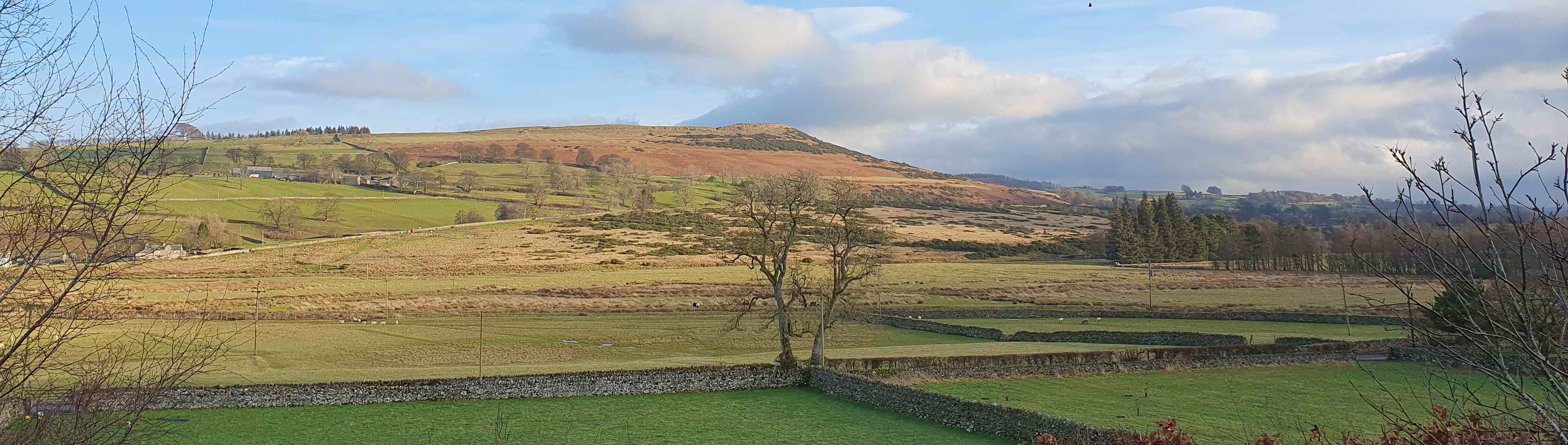 Knipe Scar Middle – 17th May 2025 – Border Liners Orienteering Club