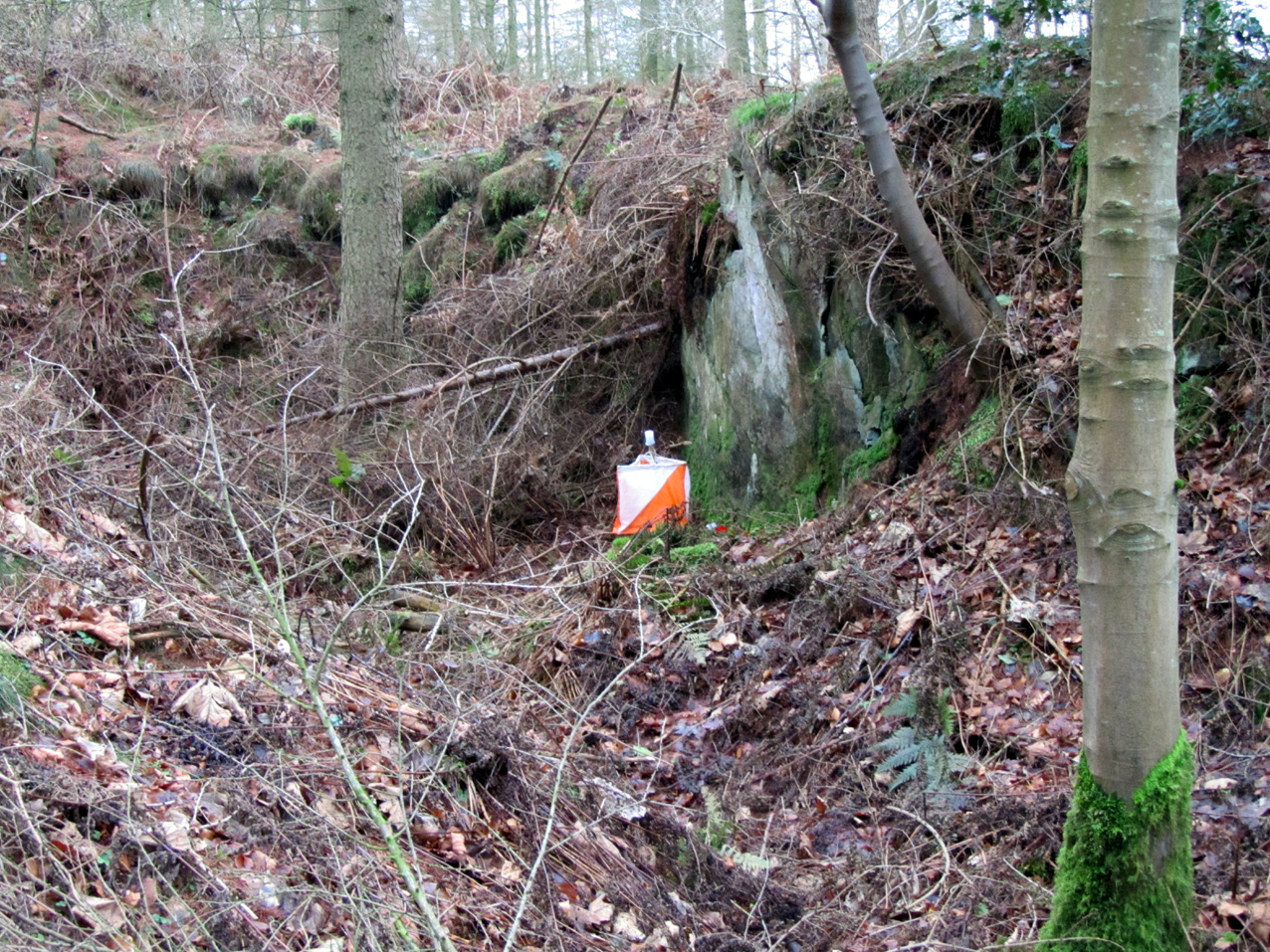 Border Liners Orienteering Club