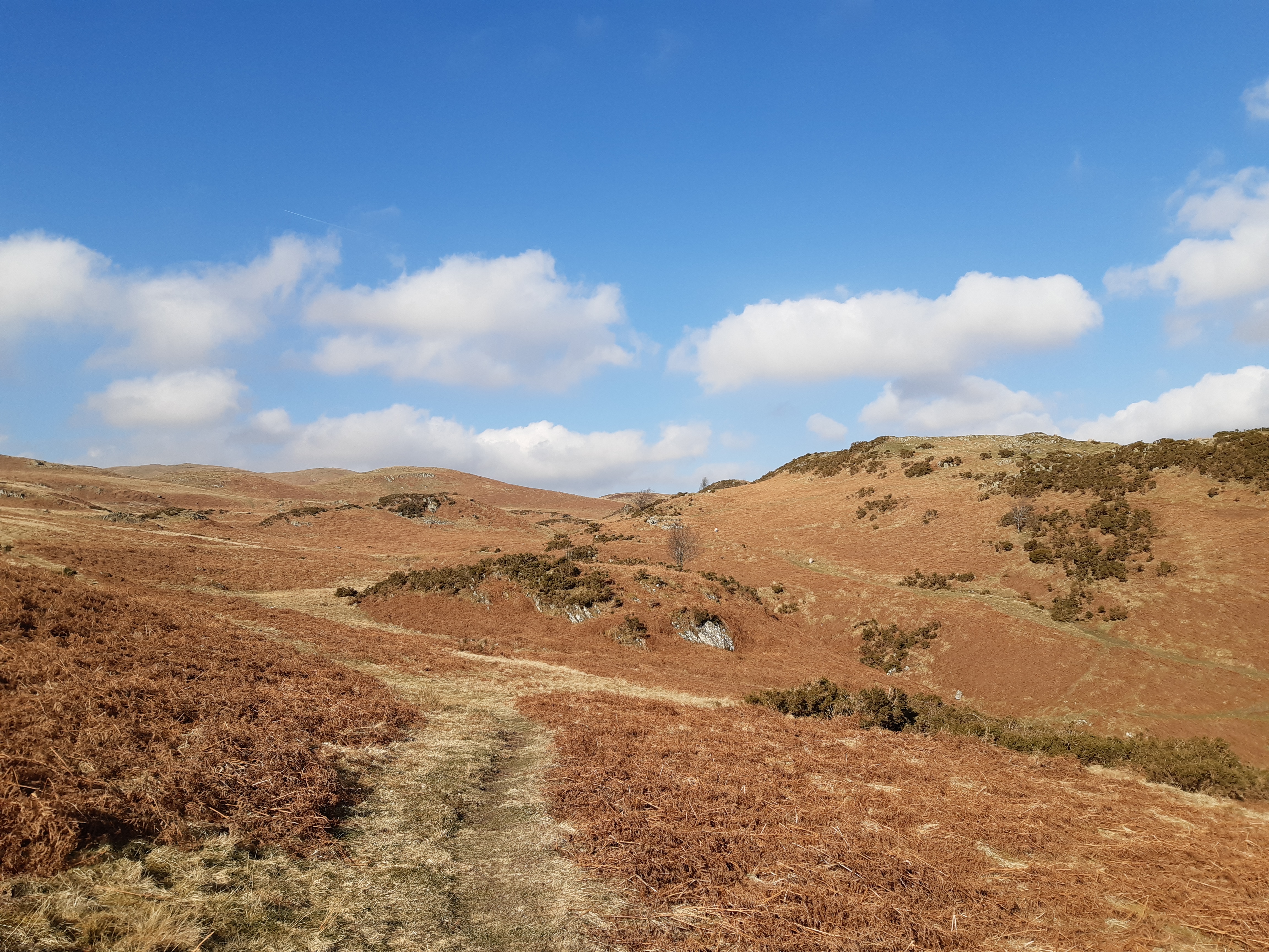 Burnbanks Cumbrian Galoppen – Border Liners Orienteering Club