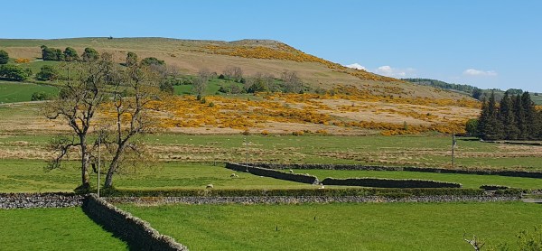 Knipe Scar – Preparations are going well (so far) – Border Liners ...