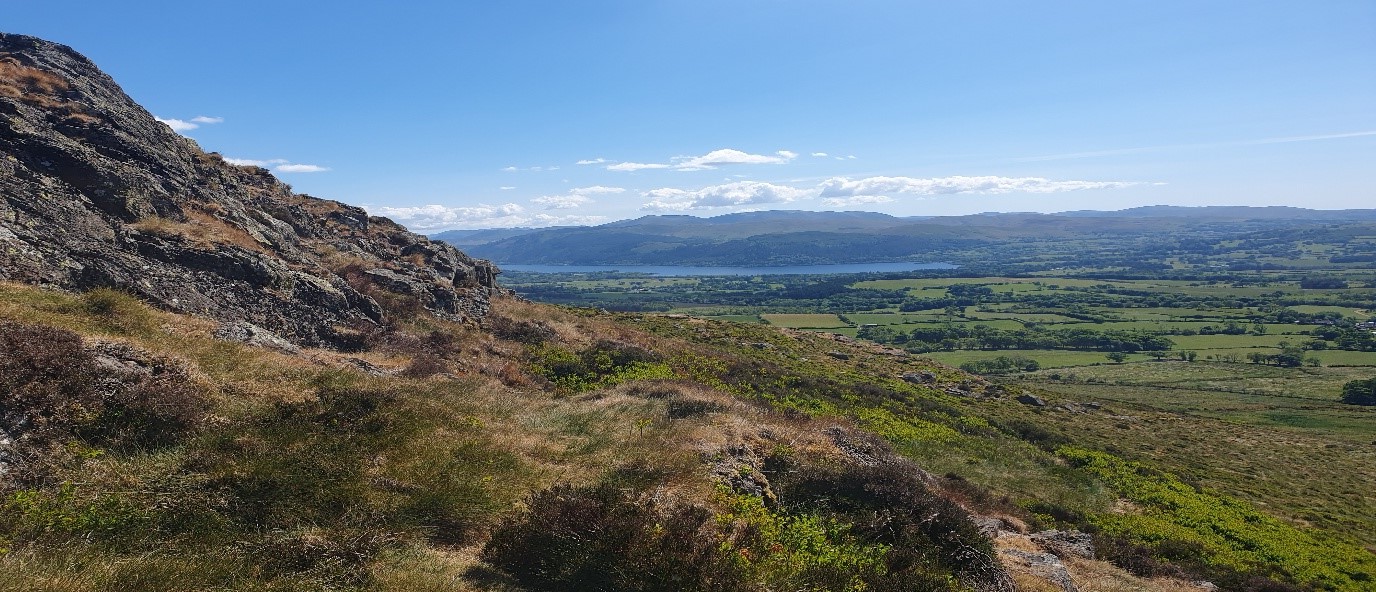 Binsey Cumbrian Galoppen – Sunday 8th June 2025 – Border Liners ...