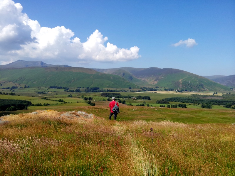 Eycott Hill – 12th July – Border Liners Orienteering Club