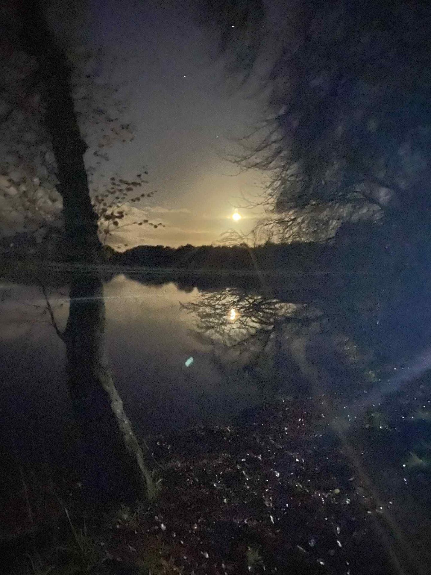 Night & Day at Talkin Tarn – Border Liners Orienteering Club